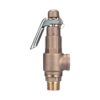 L3/L9B Bronze Safety Valve – AGS