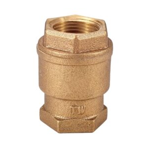 Swing Check Valve – AGS